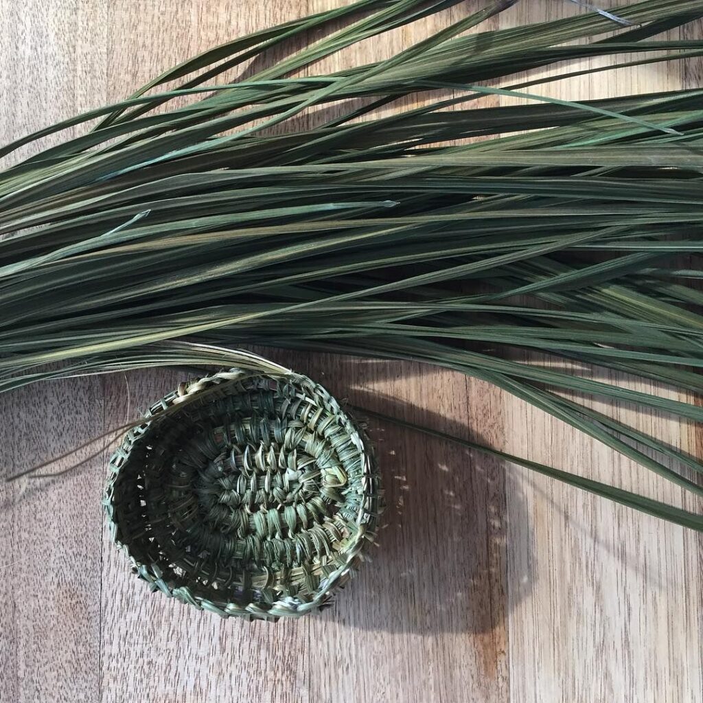 Bear Grass Weaving Workshop - Pit River Health Services